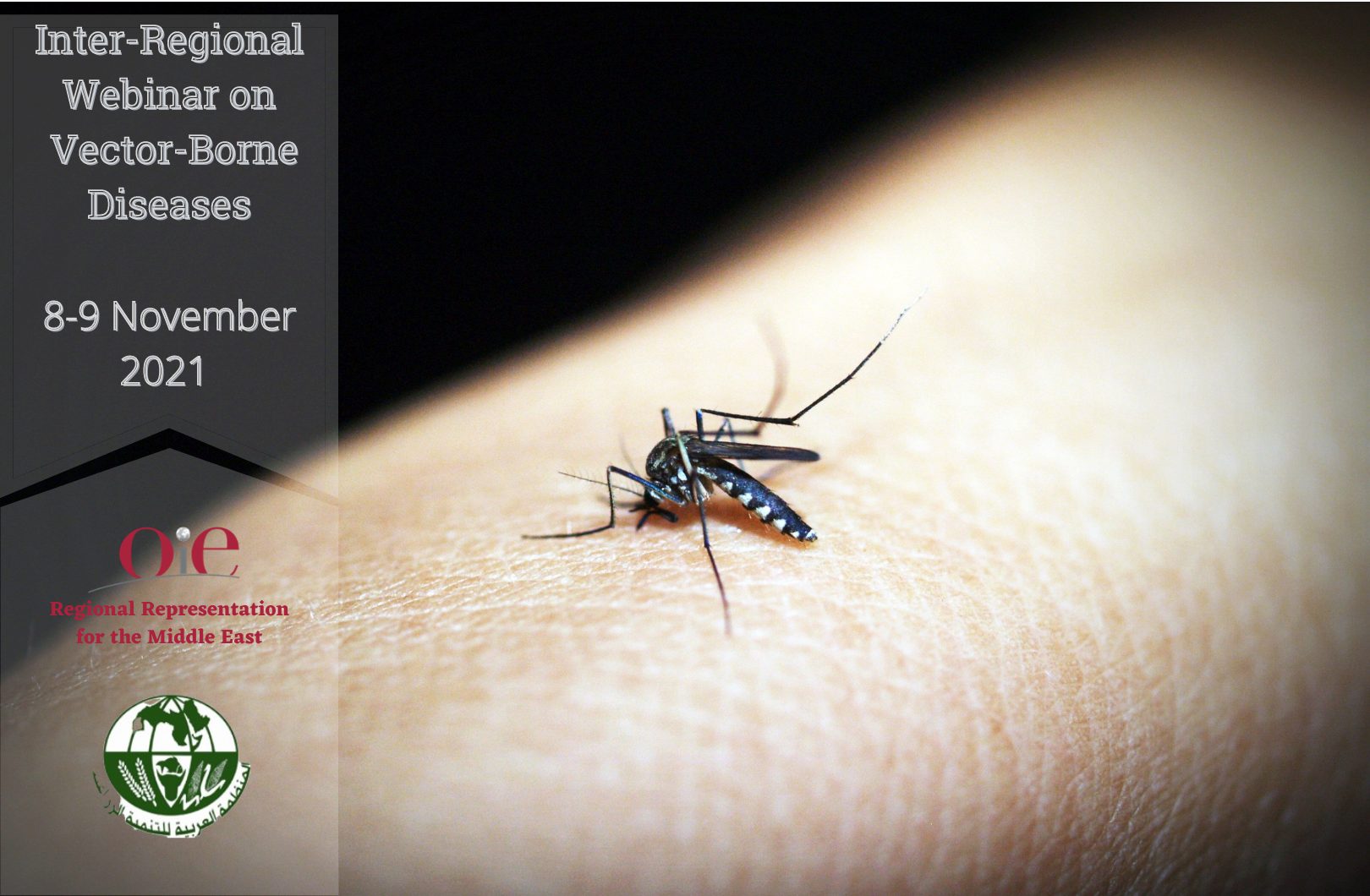 Charming Vector Borne Disease Photos Disease Vector Wikipedia