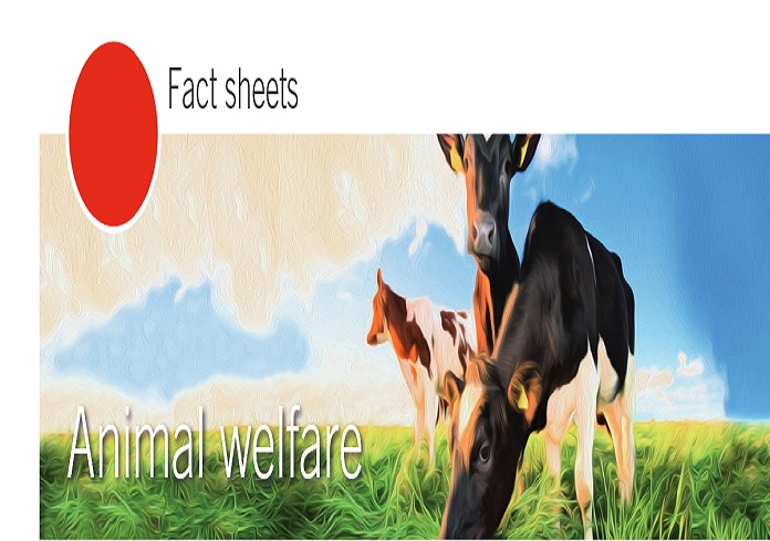 Animal Welfare - WOAH - Middle East