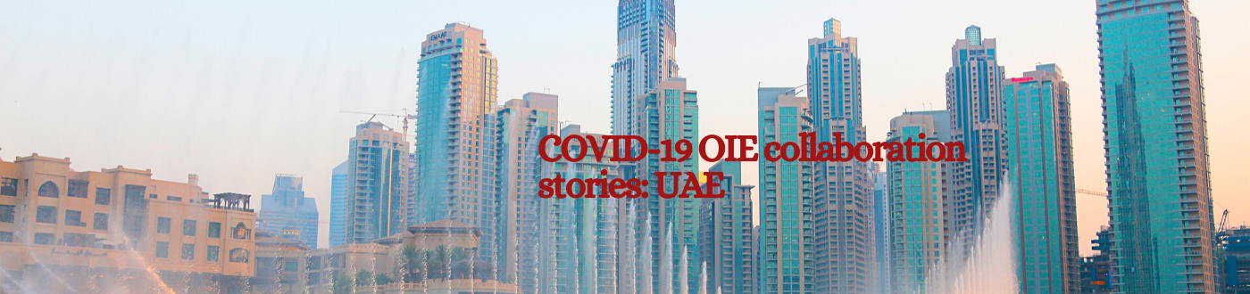 Collaboration stories - WOAH - Middle East