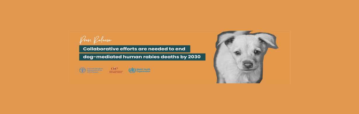 Human Rabies Deaths by 2030 - WOAH - Middle East