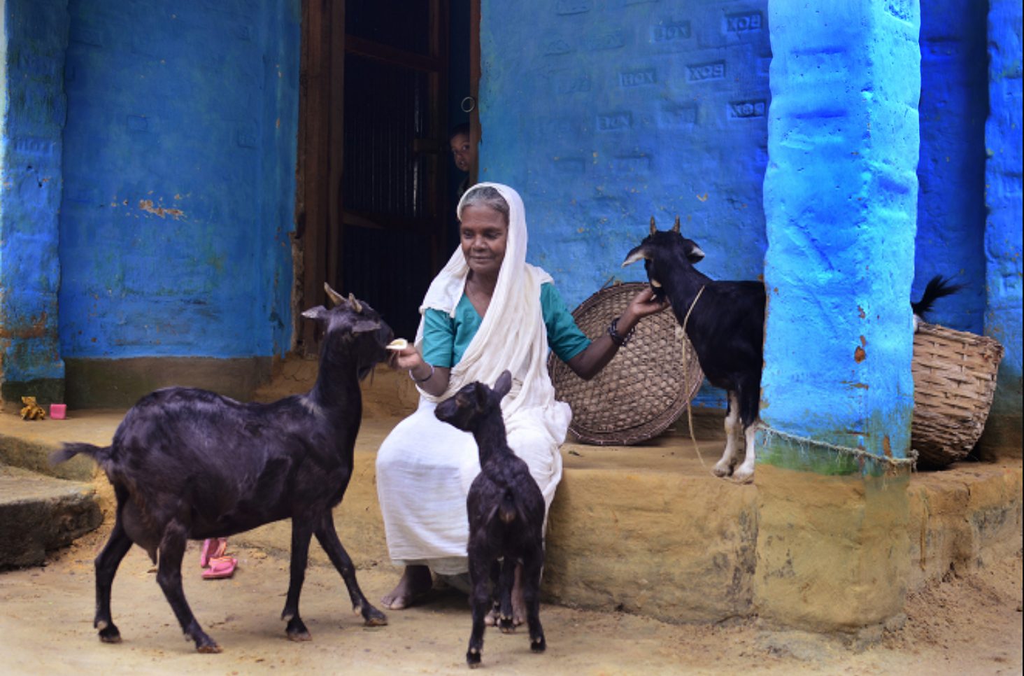 Global Burden of Animal Diseases programme - WOAH - Middle East