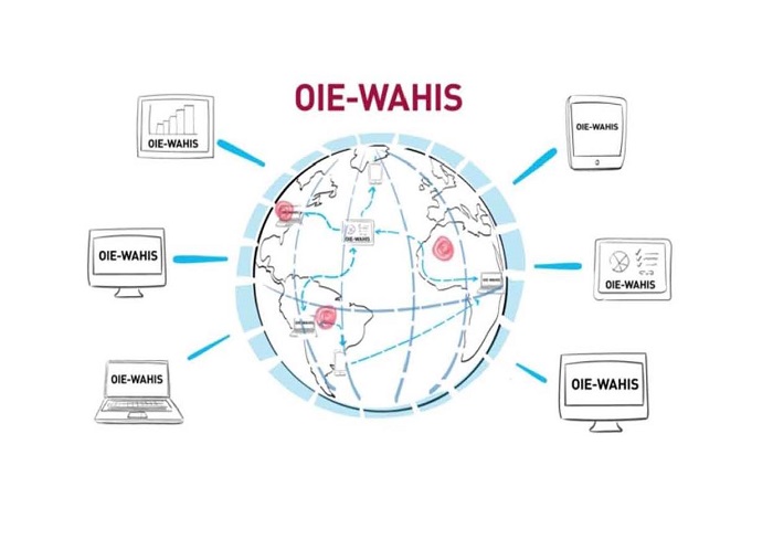 WAHIS Goes Offline, New OIE-WAHIS Launch - WOAH - Middle East