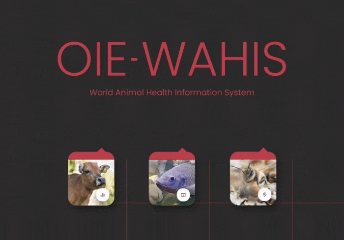 WAHIS Goes Offline, New OIE-WAHIS Launch - WOAH - Middle East