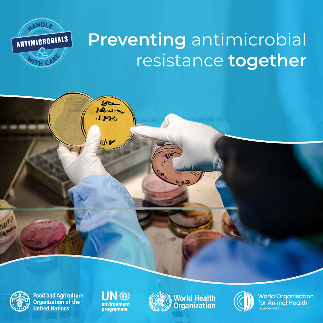 Preventing Antimicrobial Resistance Together - WOAH - Middle East Preventing Antimicrobial Resistance Together - WOAH - Middle East